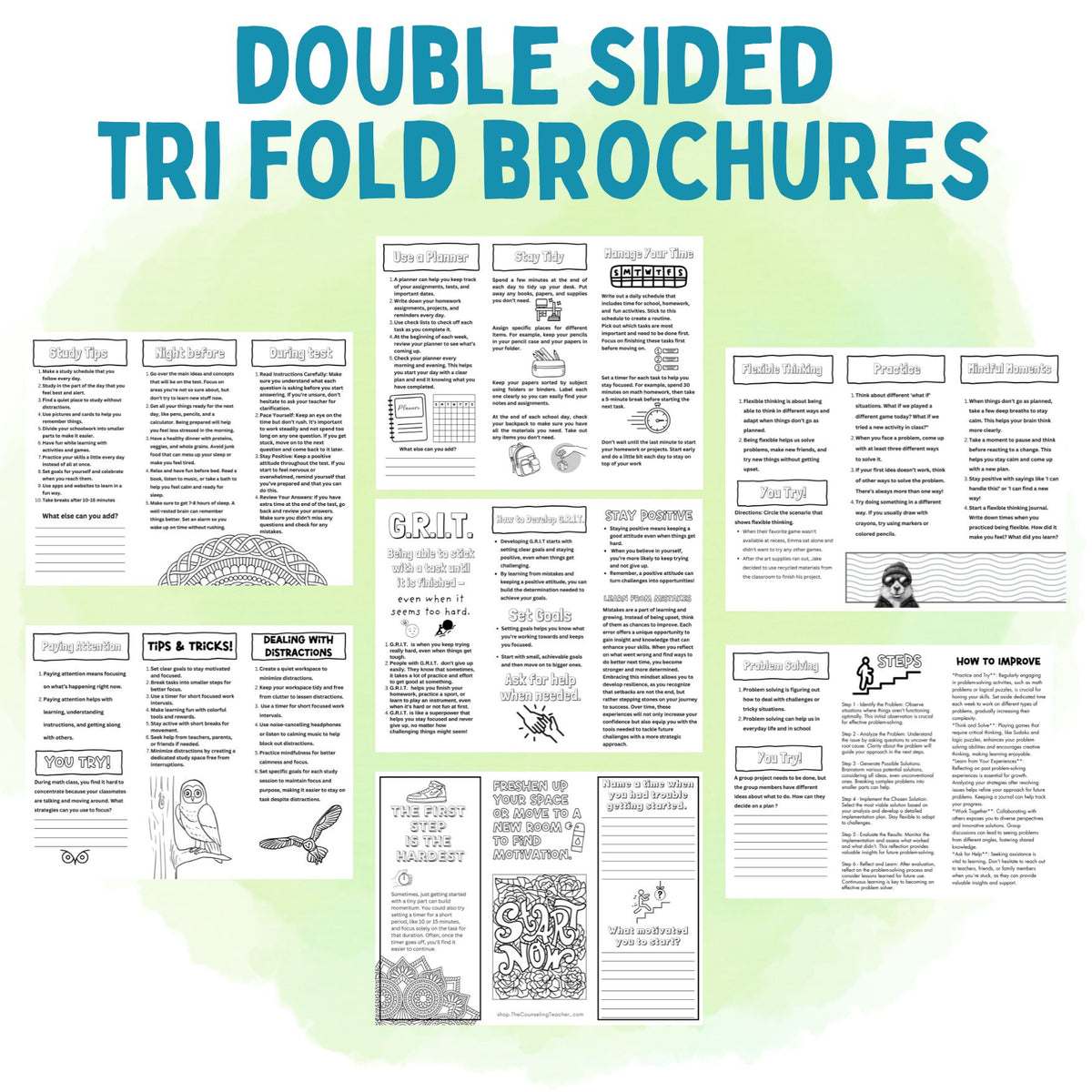 Executive Functioning Doodle Brochures for Teens – The Counseling ...