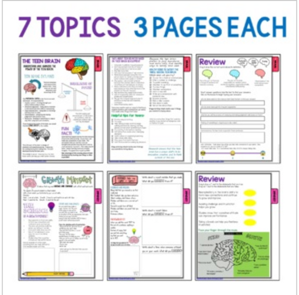 Digital Social Emotional Flipbook Bundle Grades 2-12 – The Counseling ...
