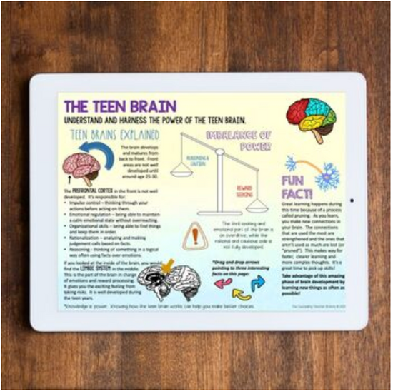 Digital Lesson about the Teen Brain – The Counseling Teacher Brandy